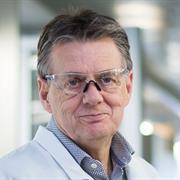 Alan Cowman | About | The Walter and Eliza Hall Institute of Medical ...